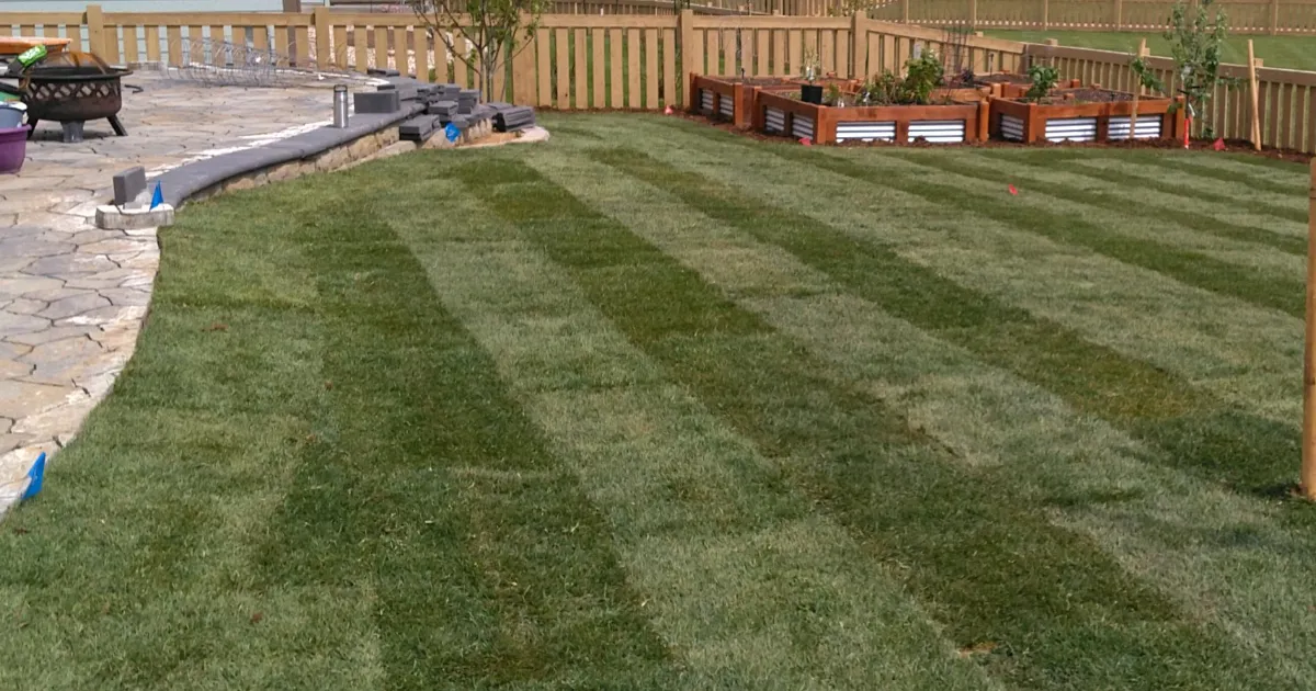 Sod Installation Guide: Achieving a Great Lawn in Denver and Fort ...